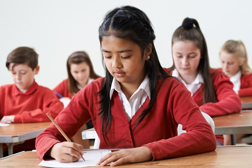 Courses - The Learning Hub